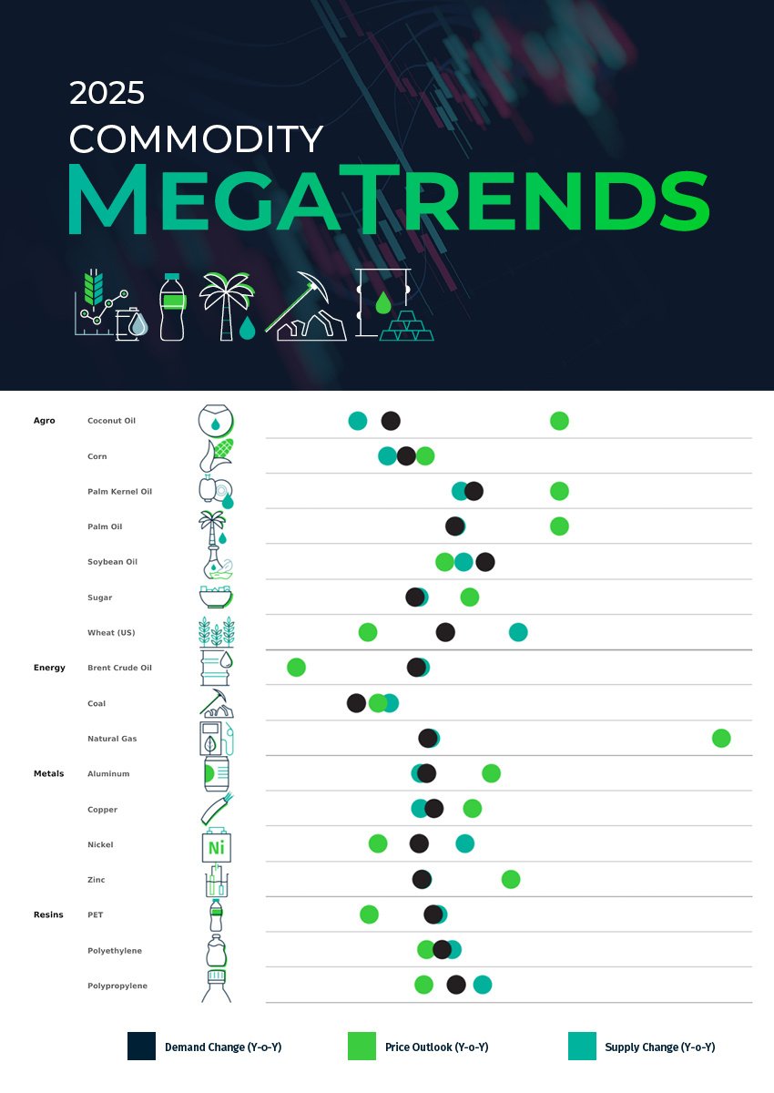 Commodity Megatrends 2025 | Global Commodities Price Forecast ...